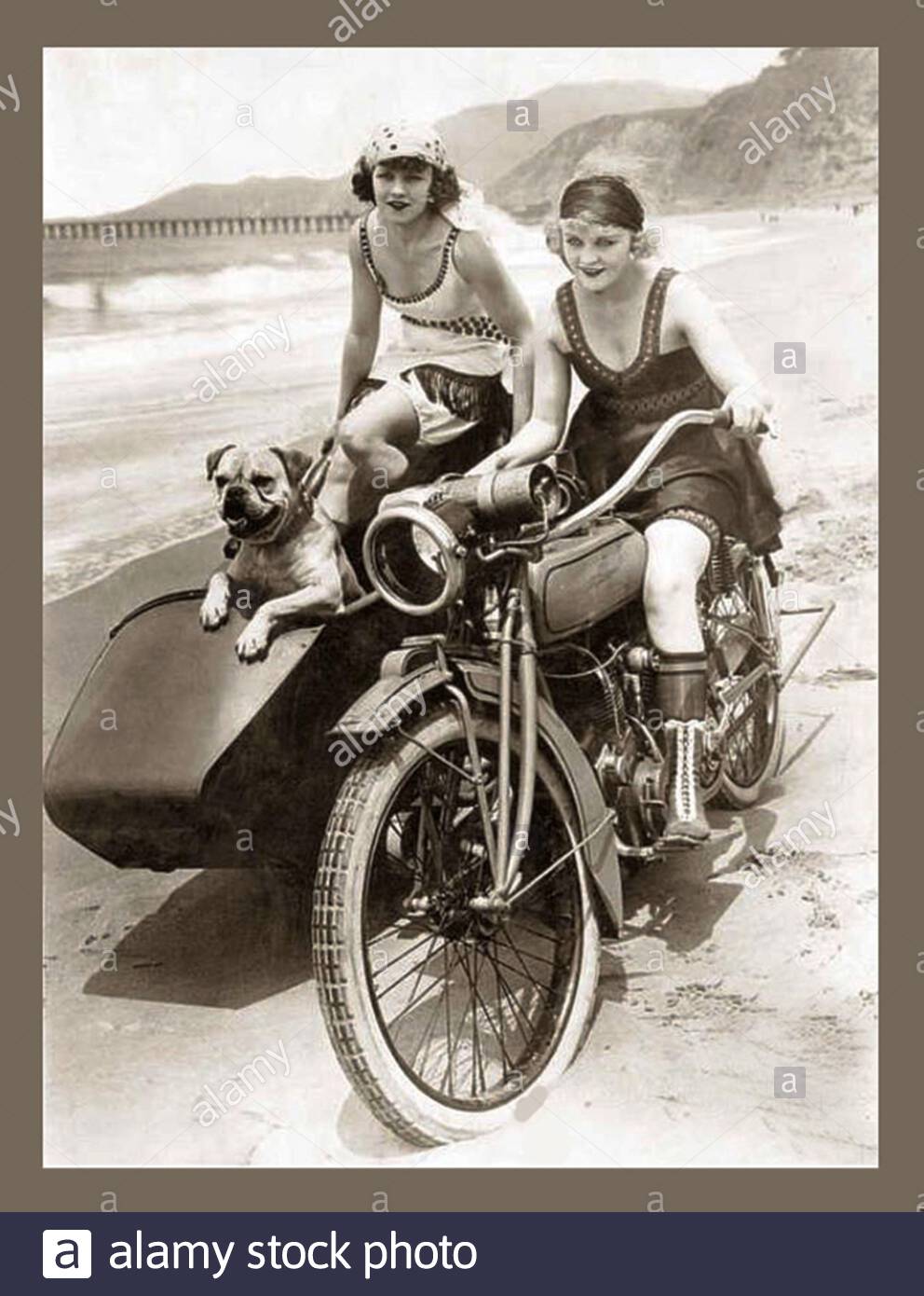 Dog In A Sidecar High Resolution Stock Photography and Images - Alamy