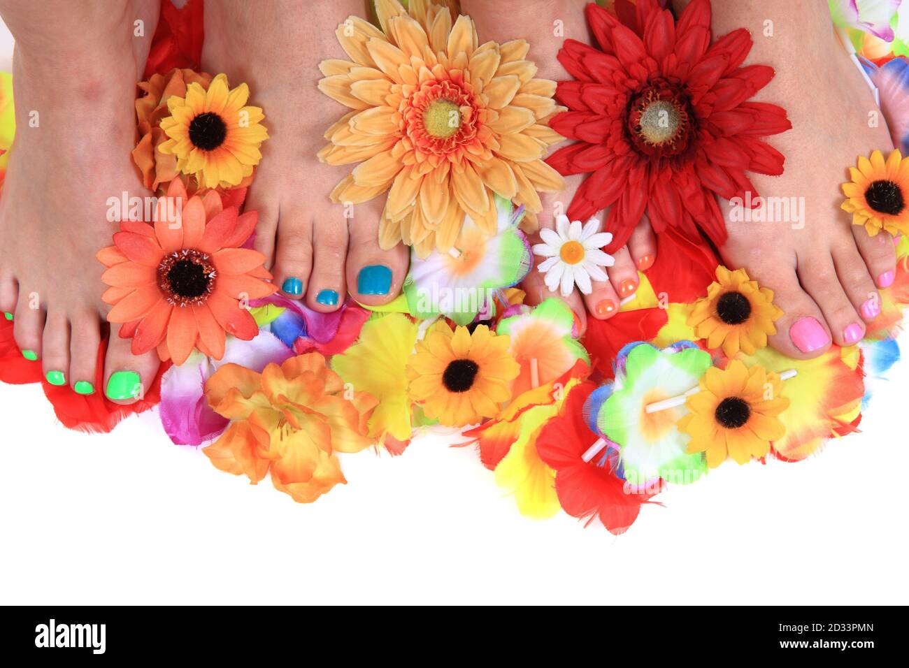 woman legs (pedicure - colored nails) isolated on the white background ...