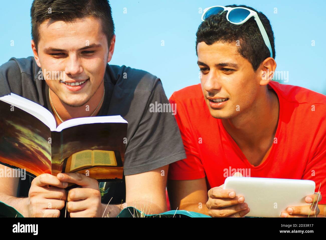 Group of students have a good time learning outdoor on the grass Stock ...