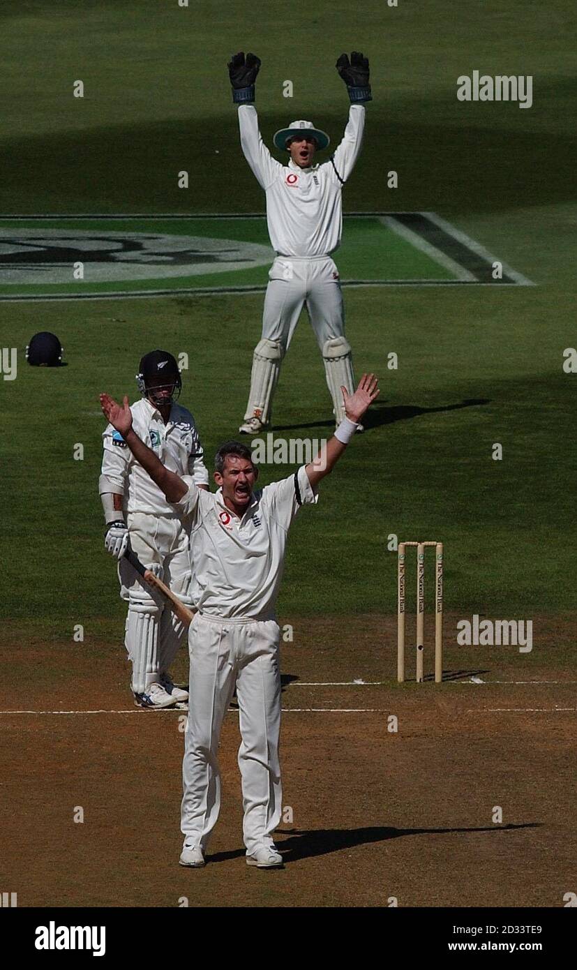 England's Andrew Caddick (bottom) and James Foster (top) appeal for the ...