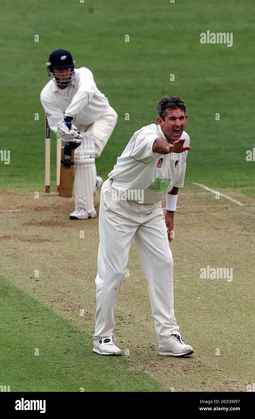 Sport cricket appealing andrew caddick hi-res stock photography and ...