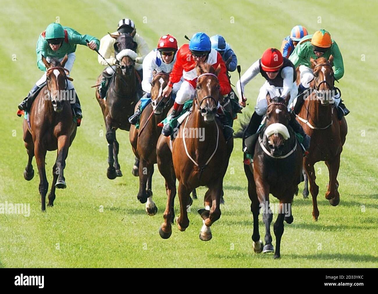 Pat Smullen on Irresistible Jewel (R) wins the Aga Khan Studs Blandford ...