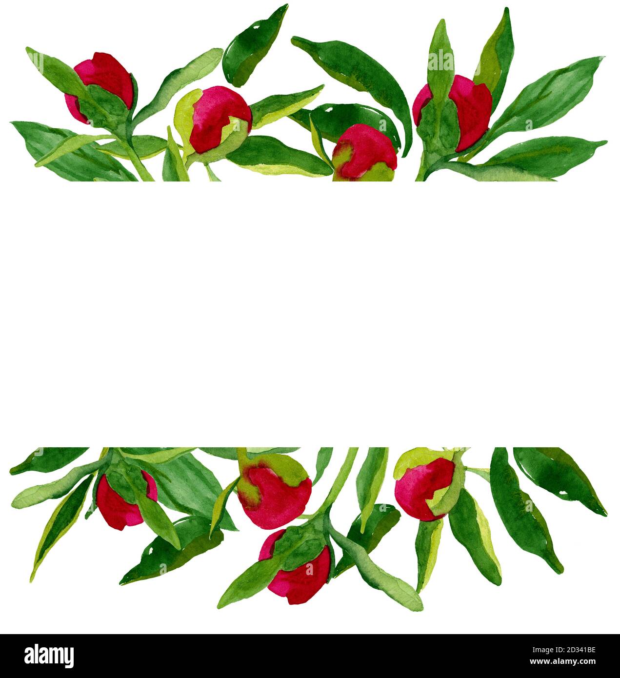 Floral border pink peony Cut Out Stock Images & Pictures - Alamy