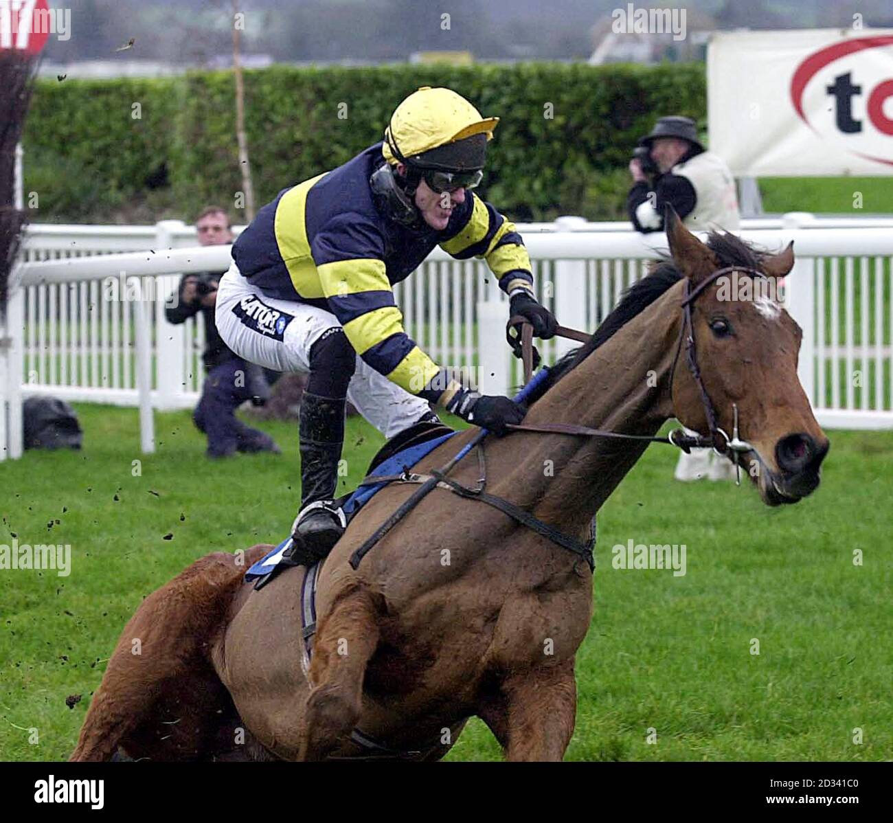 Jockey Tony McCoy falls from Barryscourt Lad after jumping the last fence in the Federation of ...