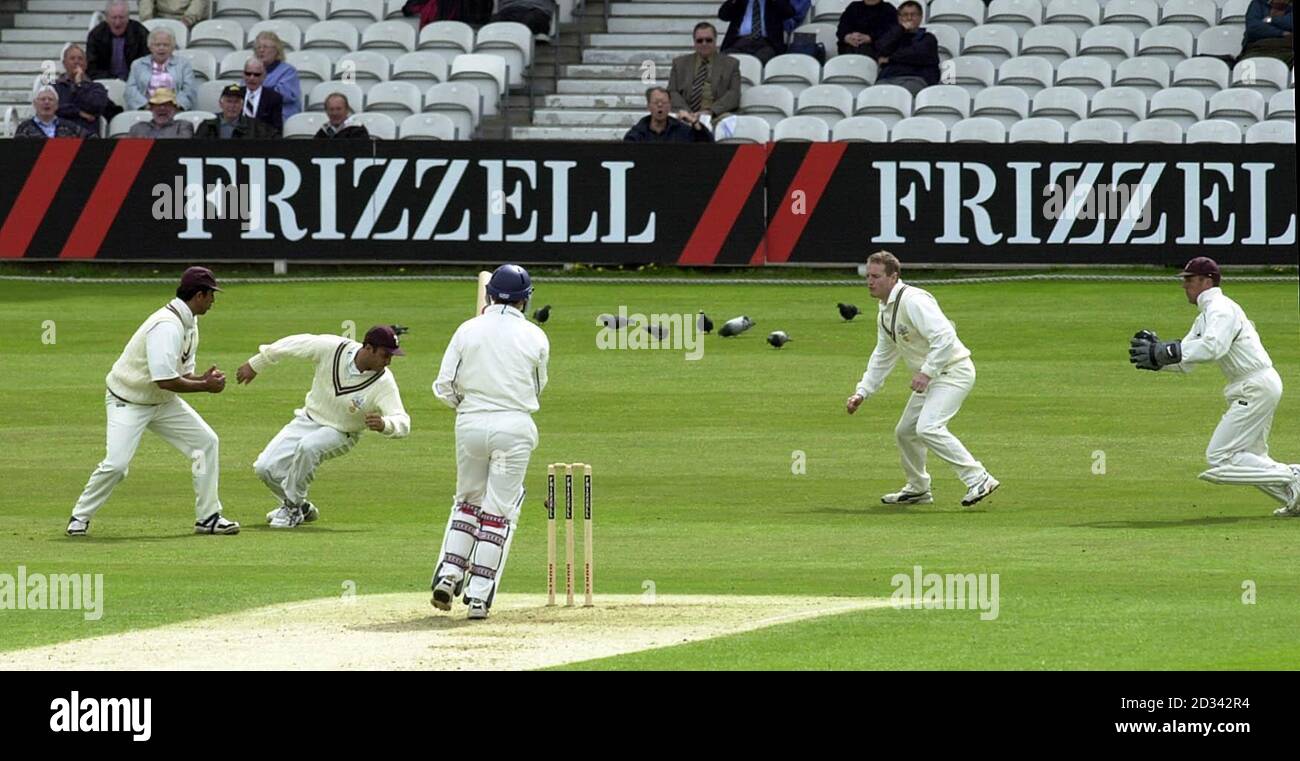 During the division one frizzell county championship at the oval hi-res ...