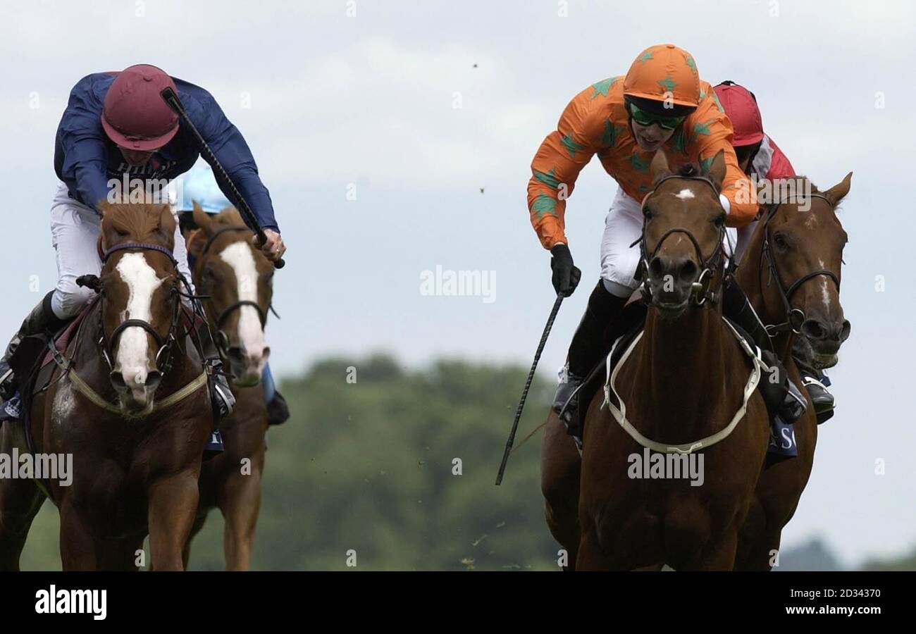 George dalgleish hi-res stock photography and images - Alamy