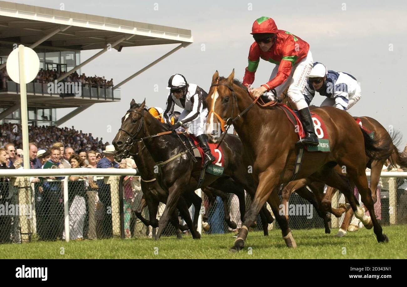 Dane O'Neill riding If Paradise (number 8) crosses the finish line to ...