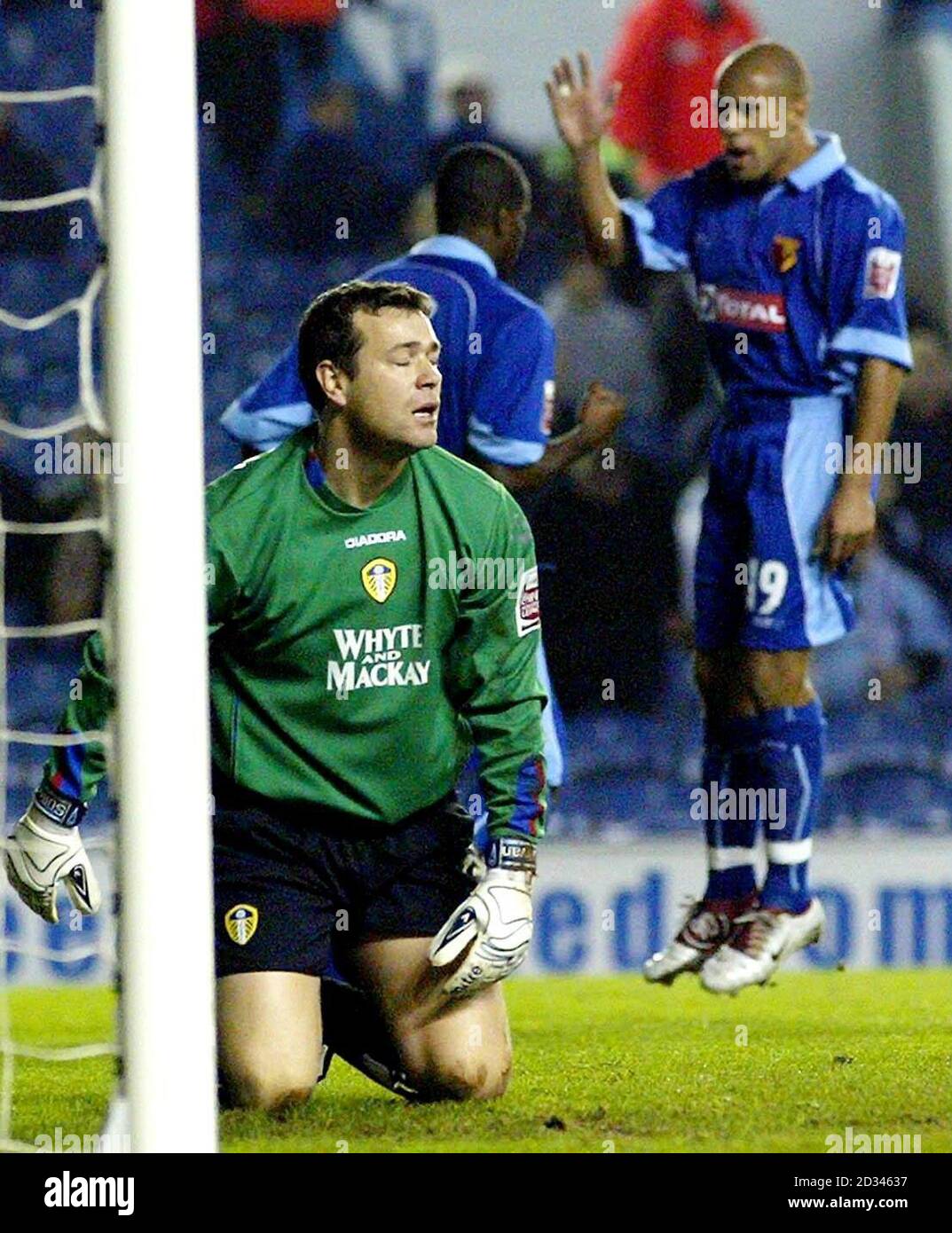 Bruce dyer hi-res stock photography and images - Alamy