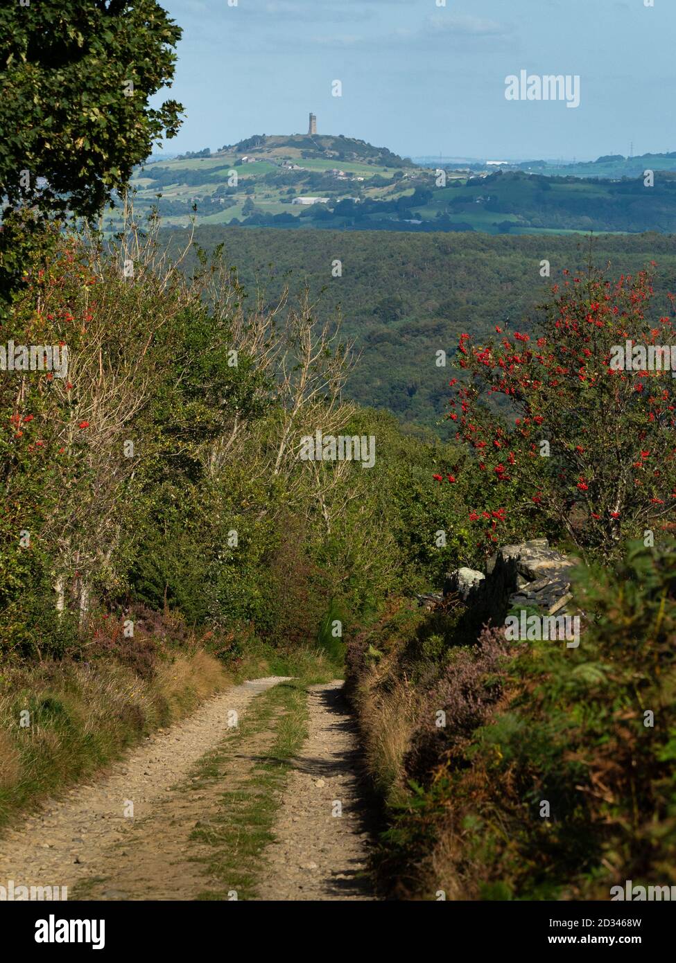 Olympus em5 hi-res stock photography and images - Alamy