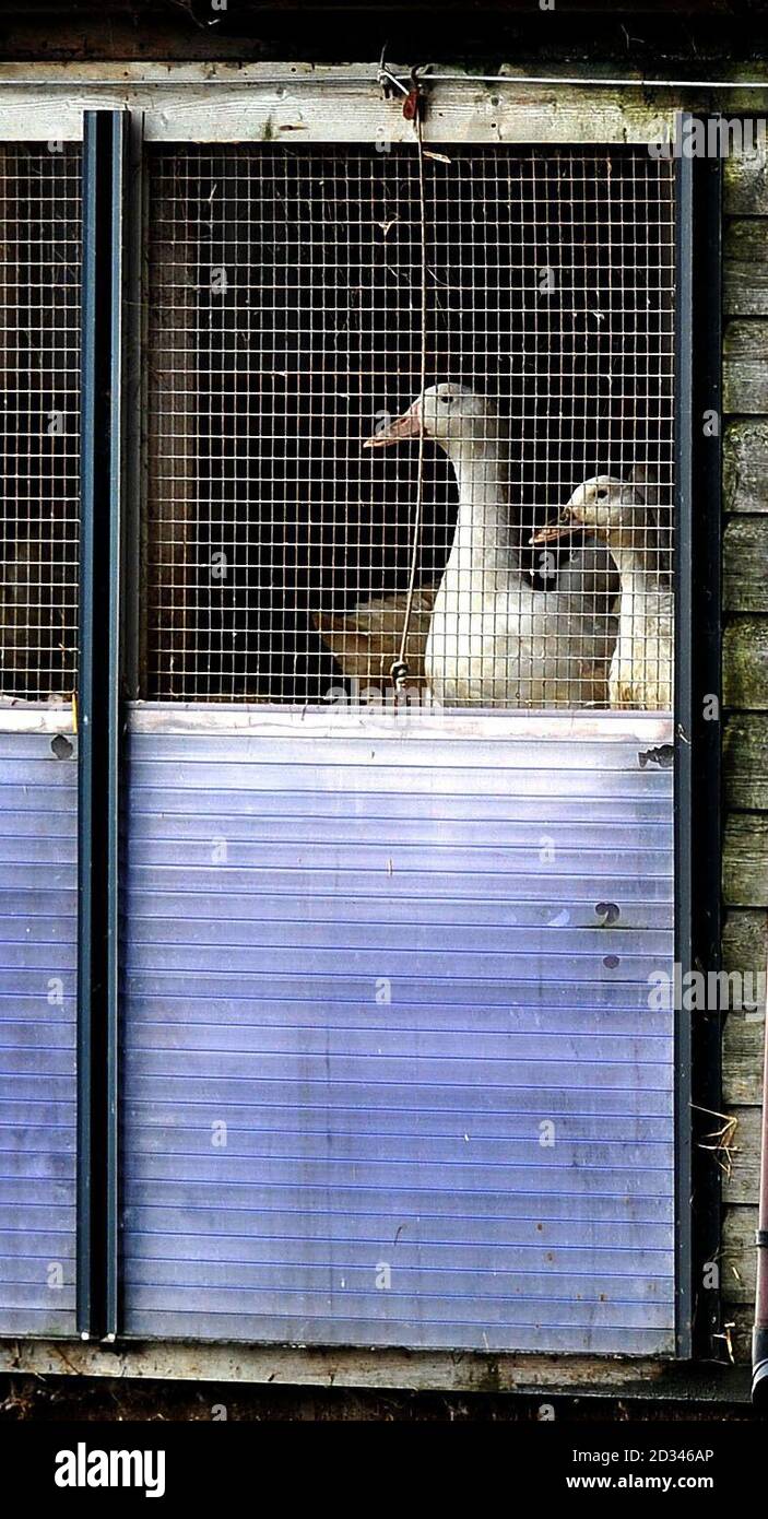 Nafferton hi-res stock photography and images - Alamy