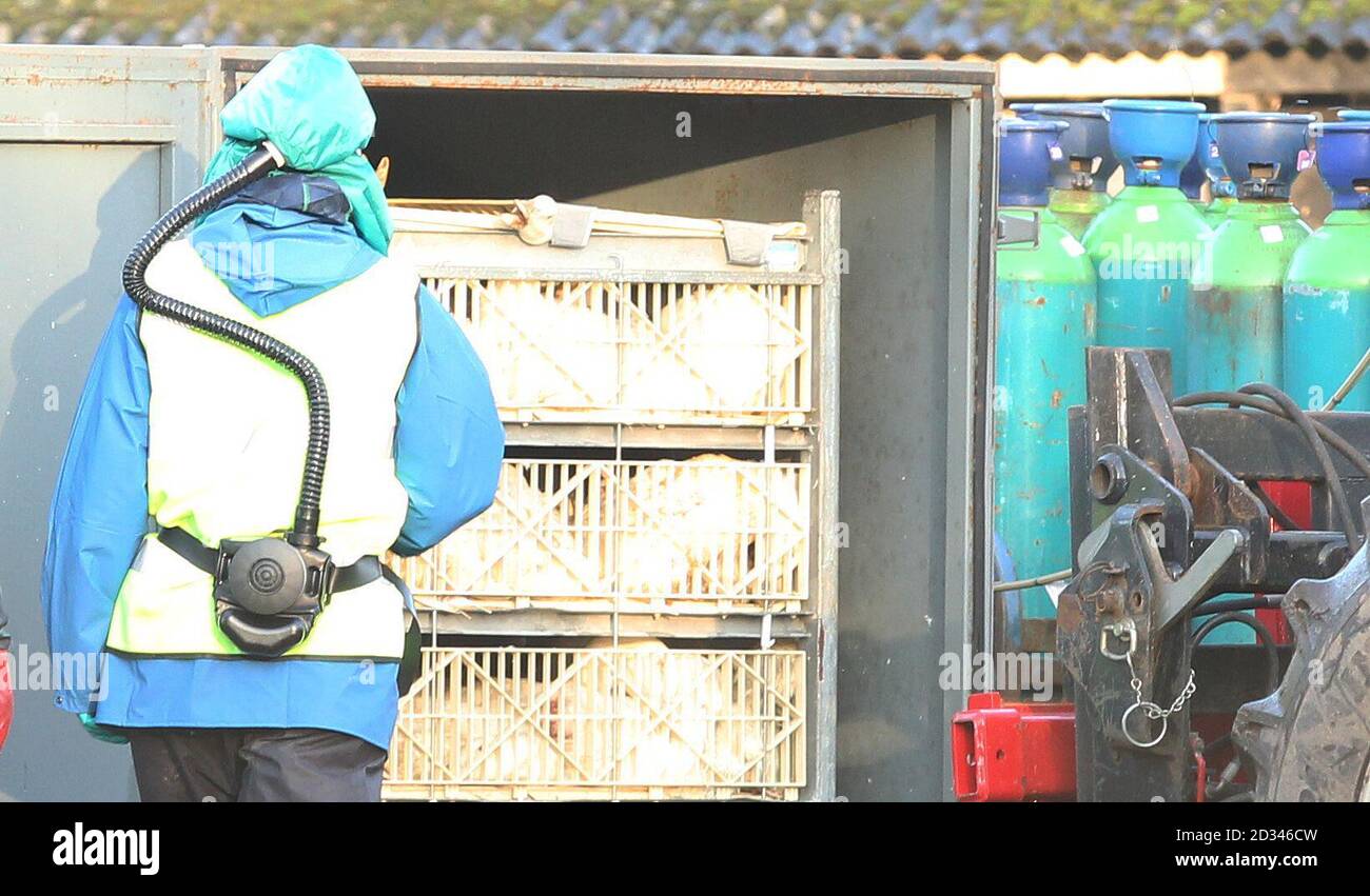 Gassed hi-res stock photography and images - Alamy