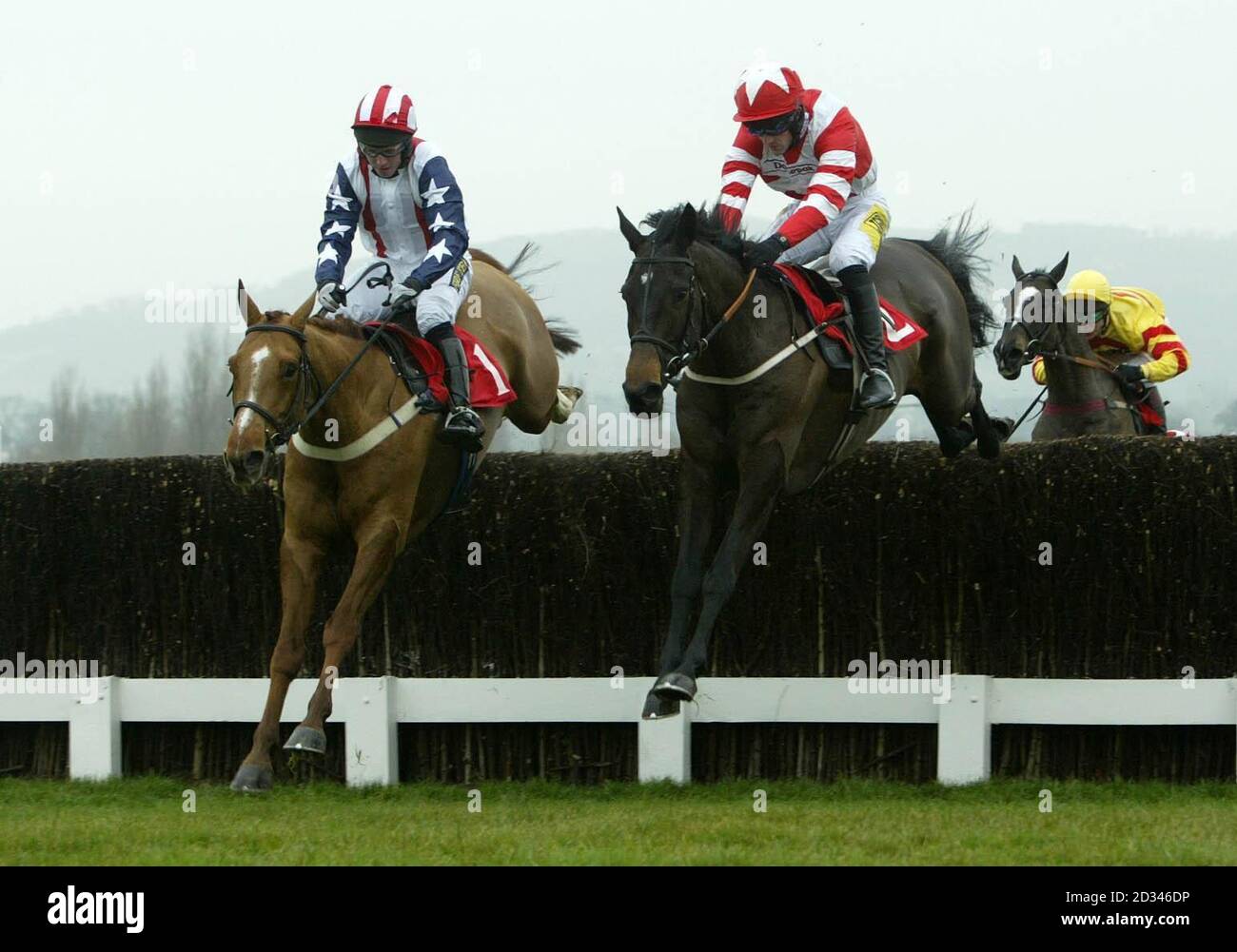 Horseracing stars hi-res stock photography and images - Alamy