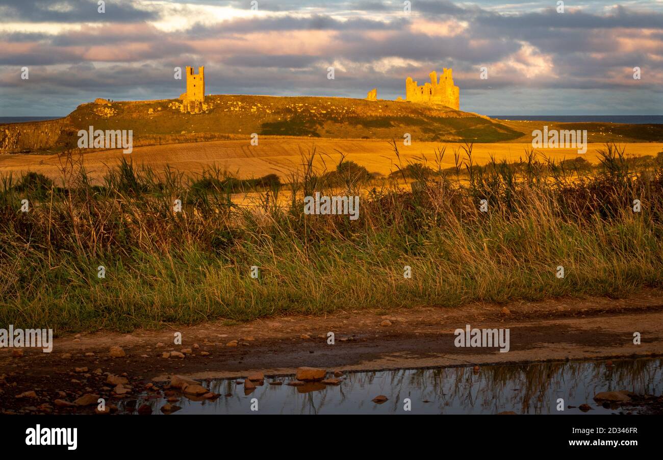 Olympus em5 hi-res stock photography and images - Alamy