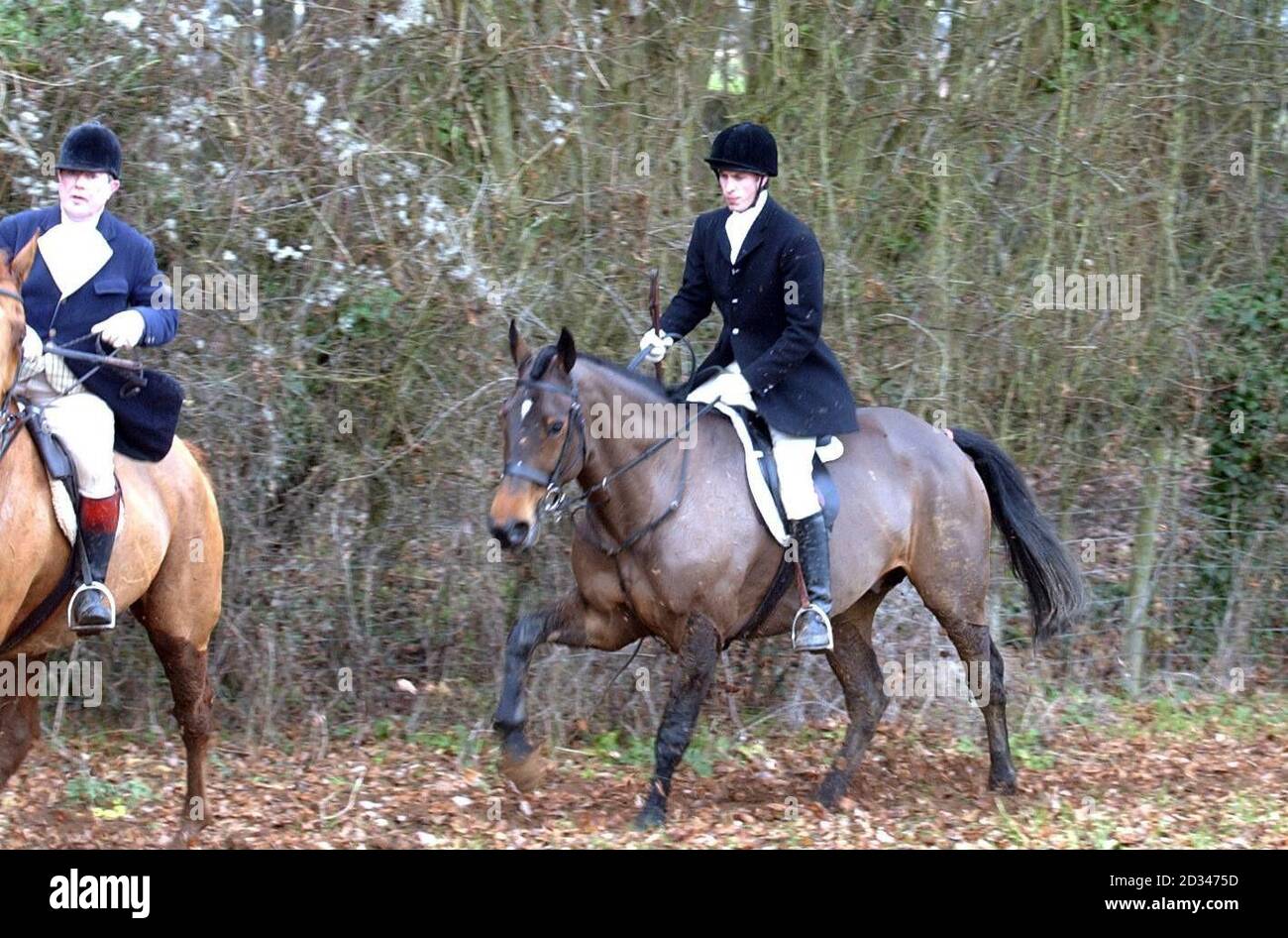 Prince William riding with the Beaufort Hunt which is based near ...