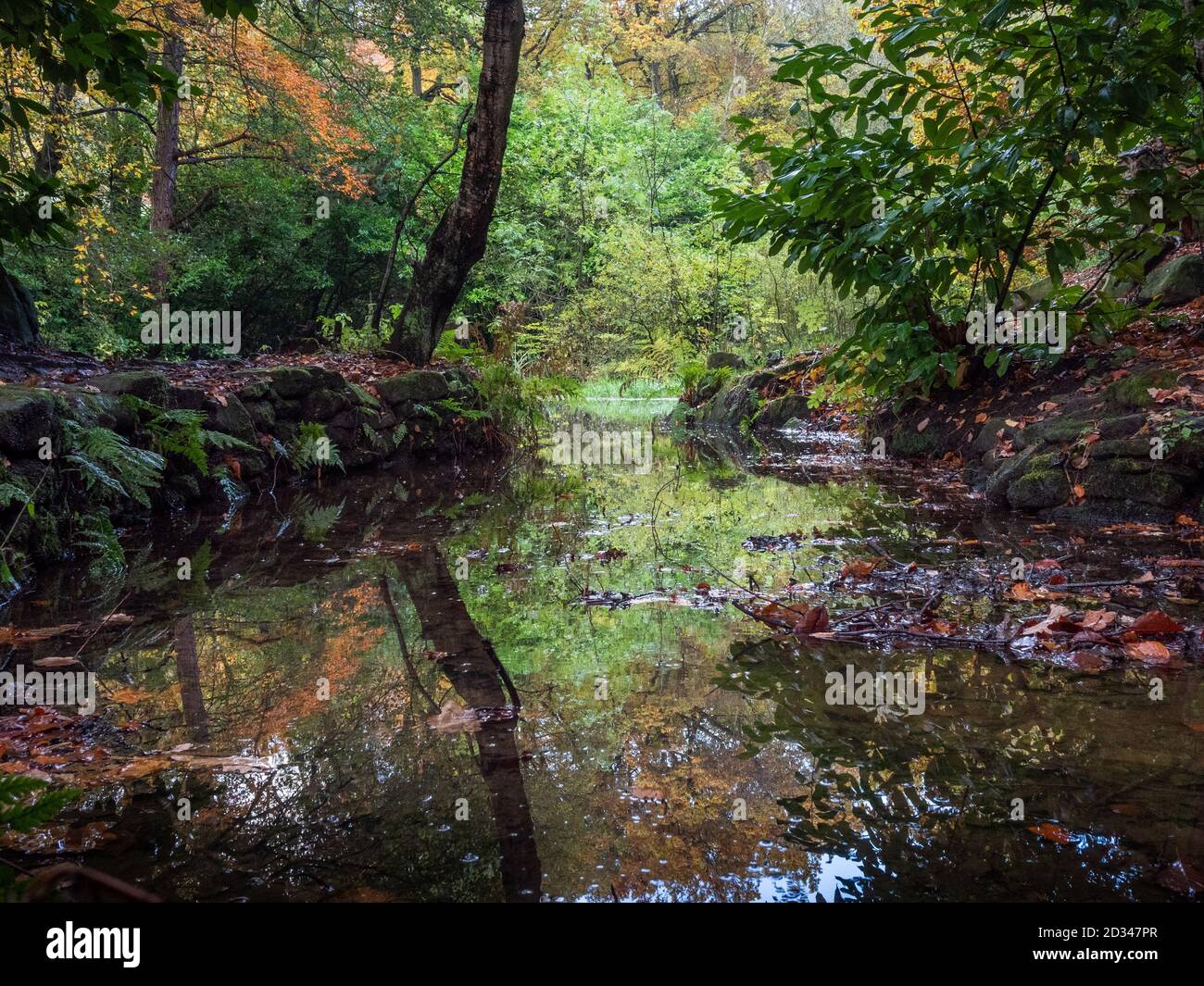 Olympus em5 hi-res stock photography and images - Alamy