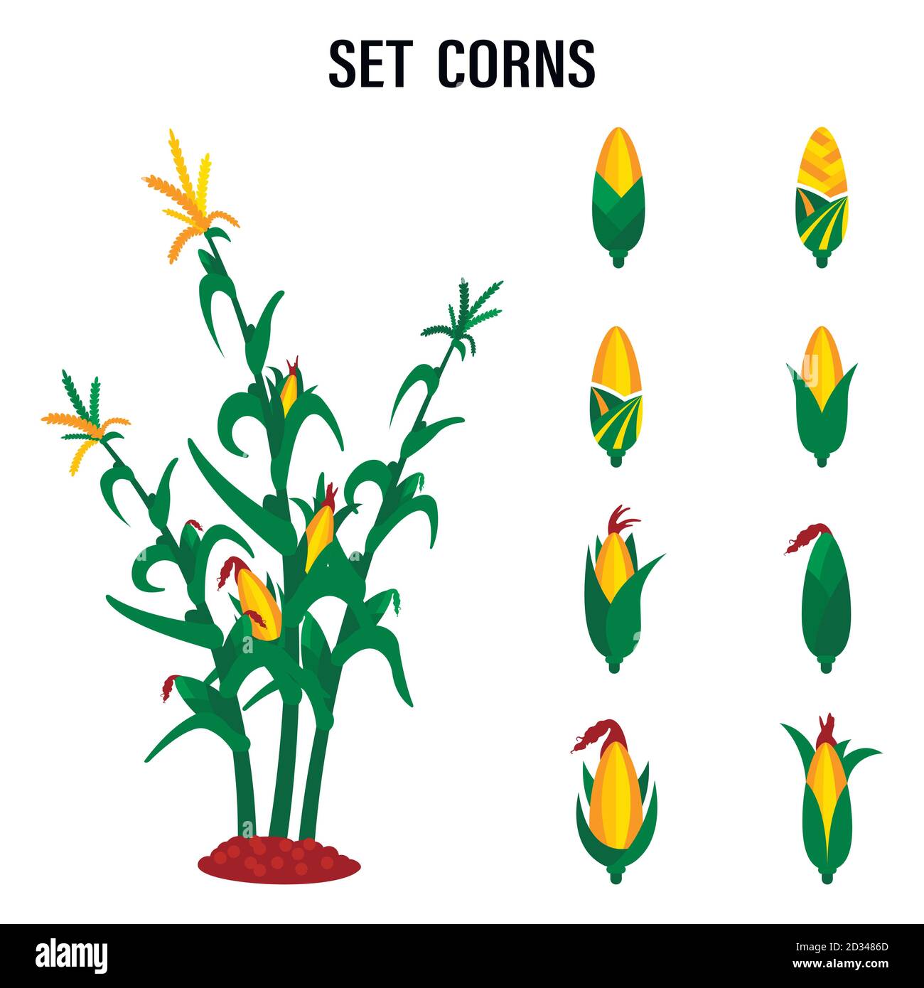 Qualitative original trendy vector set with sweet golden corn. A bunch ...