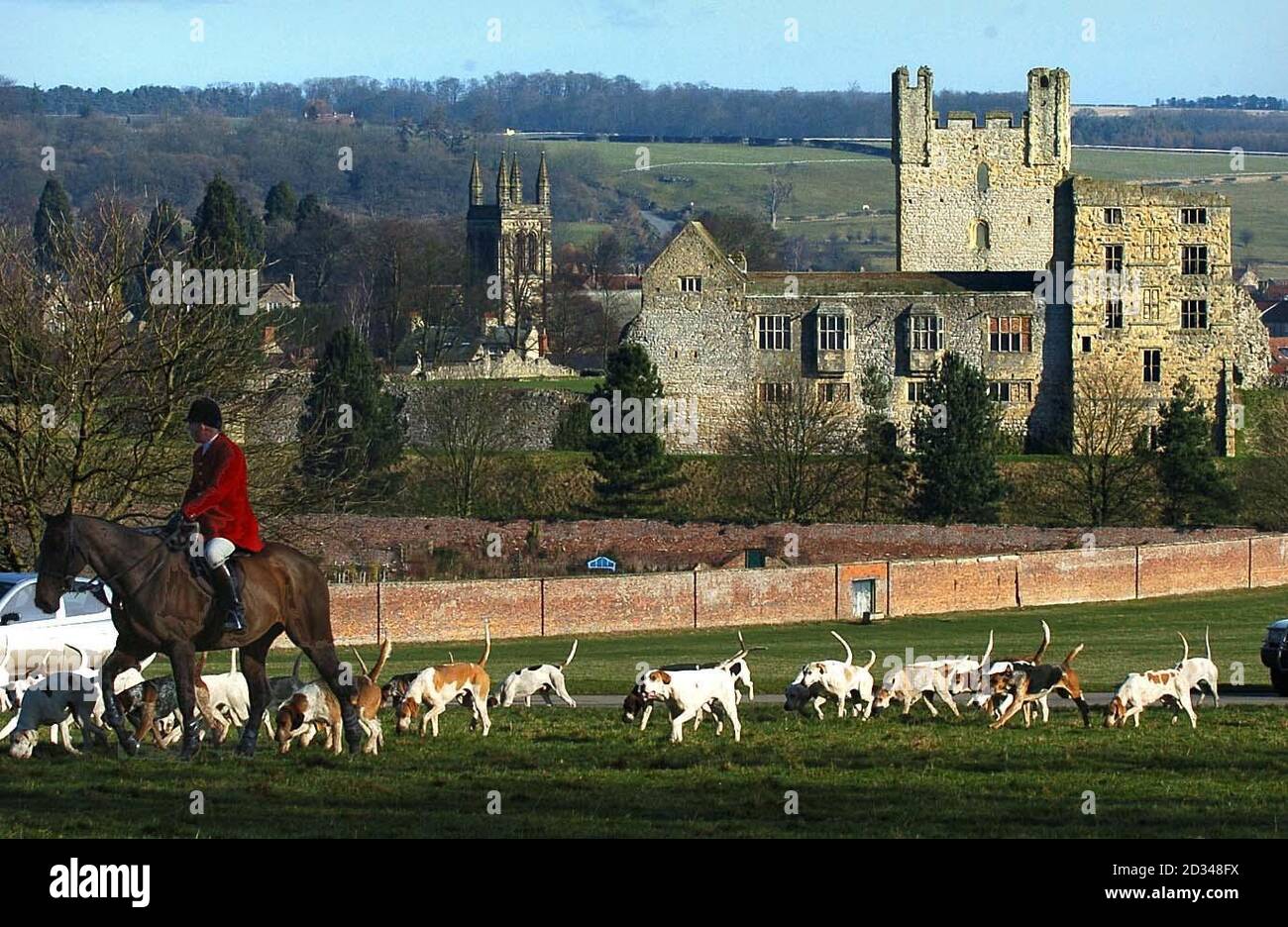 A member and hounds from the Sinnington Hunt with Helmsley Castle in ...