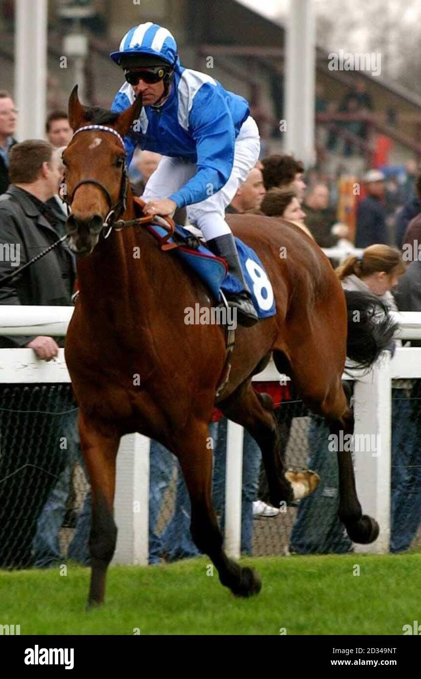 Museeb with jockey Richard Hills Stock Photo - Alamy