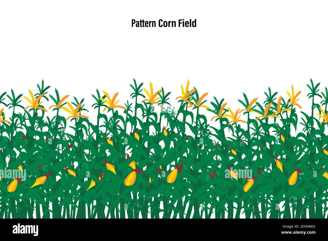 Field of corn on a white background isolated. Pattern Vector ...