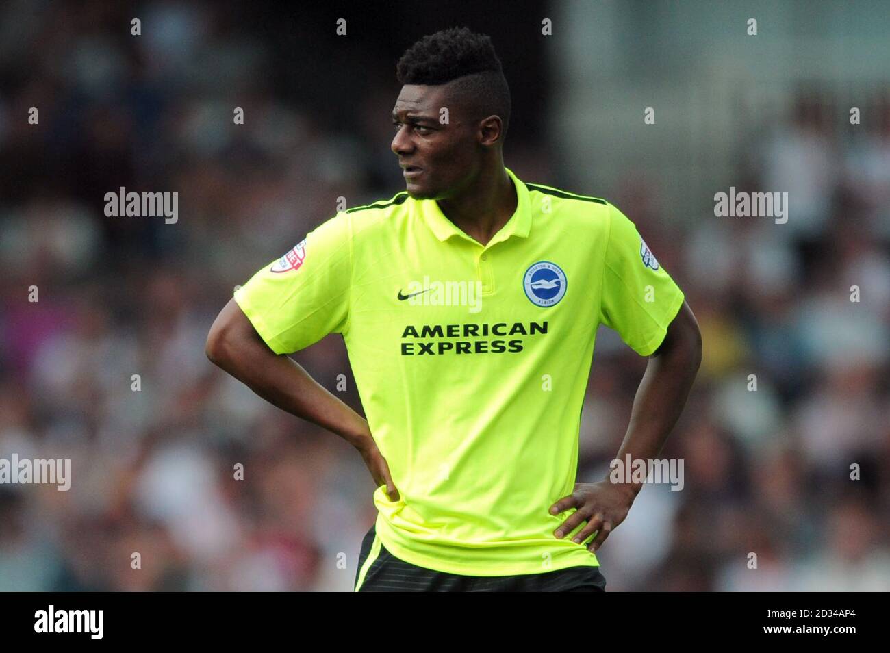 Brighton and Hove Albion's Rohan Ince Stock Photo - Alamy