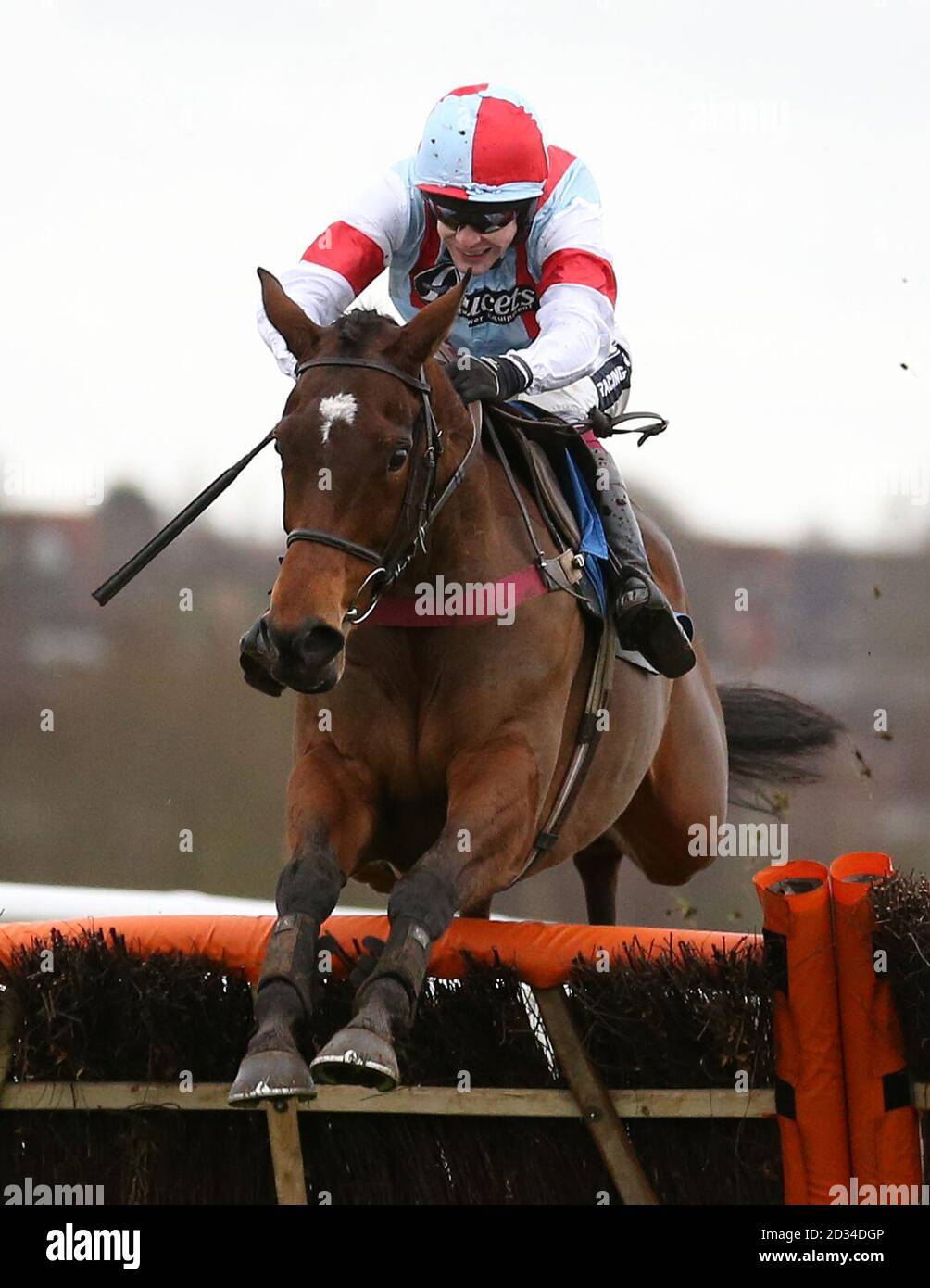 Winning british stallion studs ebf mares hi-res stock photography and ...