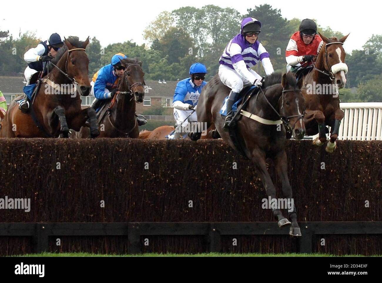 2005 paddy hi-res stock photography and images - Alamy