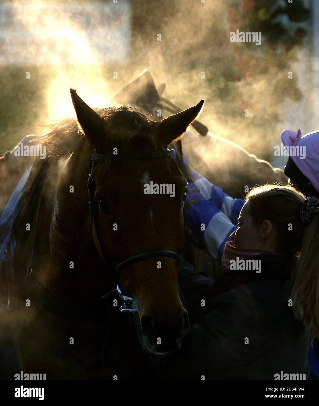 Steam comes off the horses during freezing temperatures at Wetherby ...