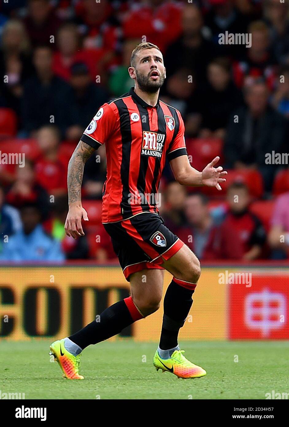AFC Bournemouth's Steve Cook Stock Photo - Alamy
