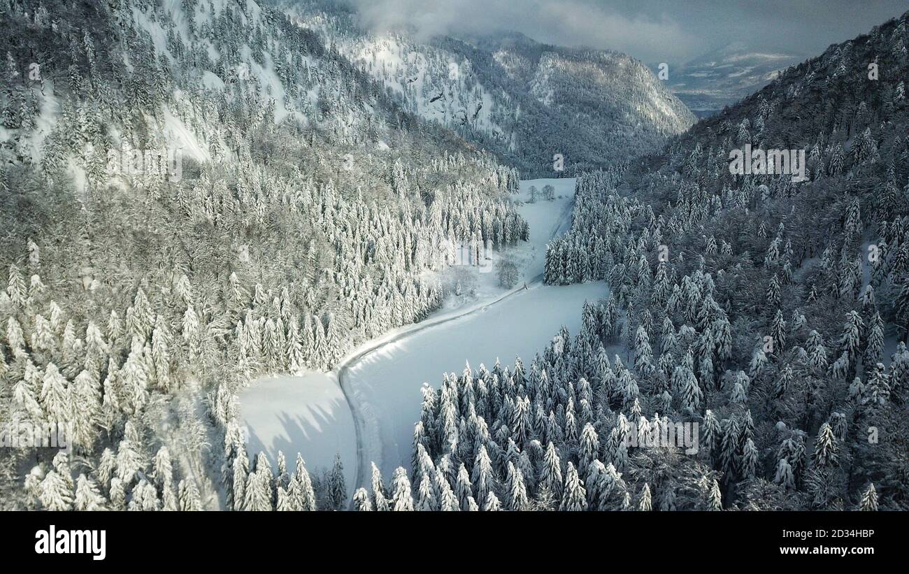 Snowy winding forest road hi-res stock photography and images - Alamy