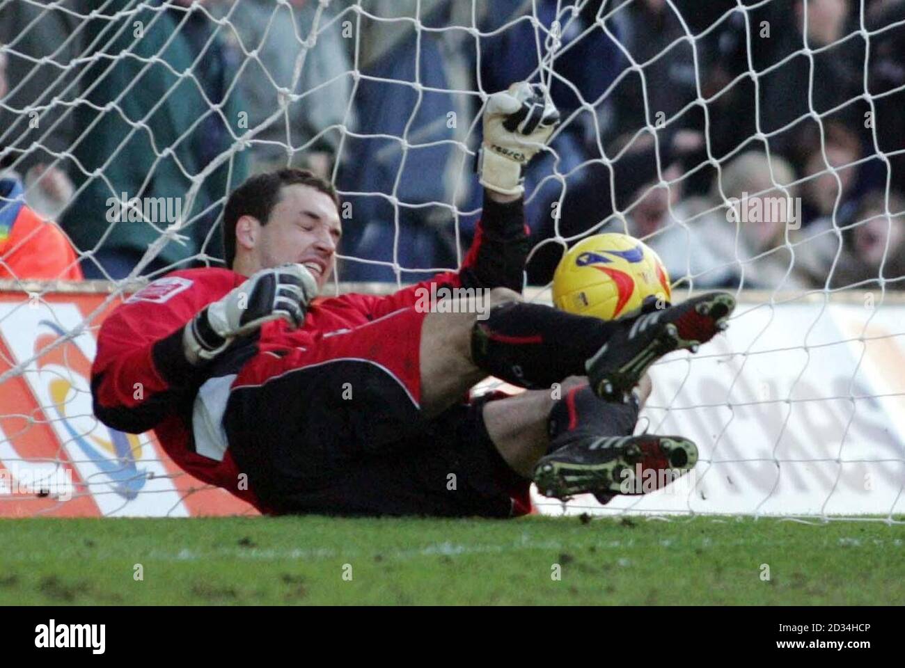 Morton fulop hi-res stock photography and images - Alamy