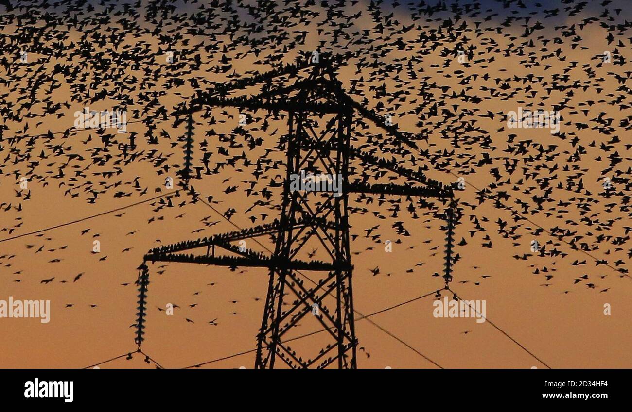 Sky over gretna on scottish borders hi-res stock photography and images ...