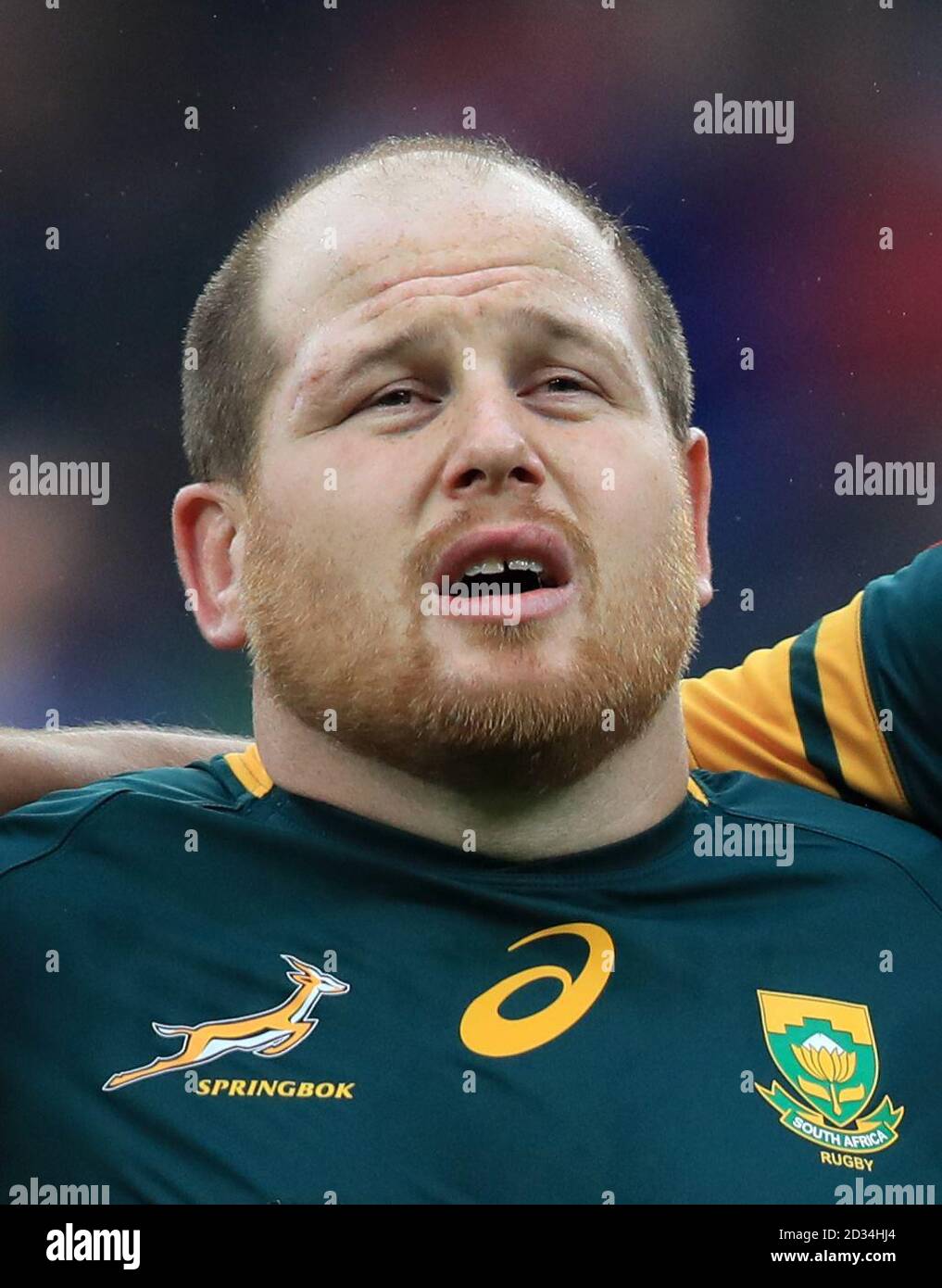 South Africa's Lourens Adriaanse during the Autumn International match ...