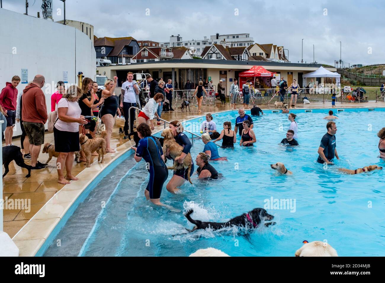 Dog owners take their dogs for a ‘doggy swim’ at Saltdean Lido. This ...