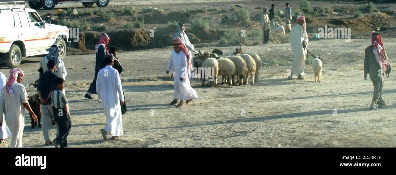 Normal life has returned to some areas of Iraq and in the city of As ...