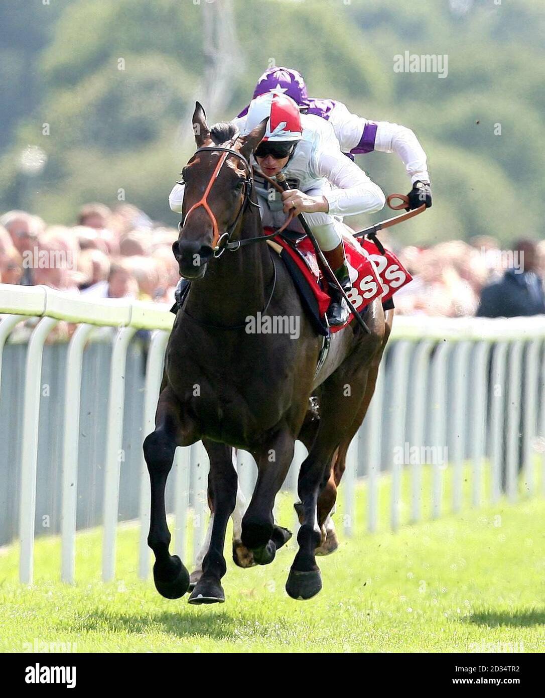 000 st leger yearling hi-res stock photography and images - Alamy