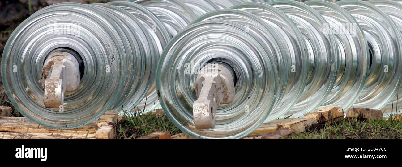 Linesman Erectors carry out the refurbishment of the Denny to ...