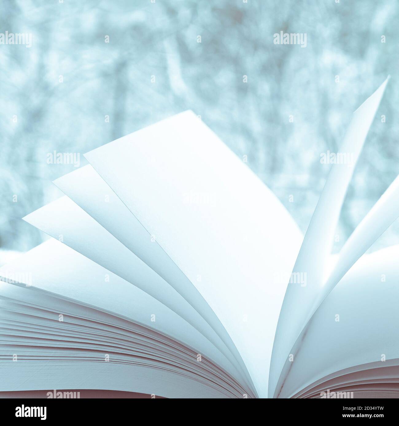 Mockup catalogue hi-res stock photography and images - Alamy