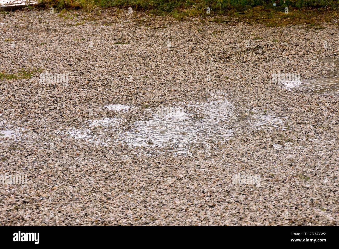 Puddle of water and raindrops Stock Photo - Alamy