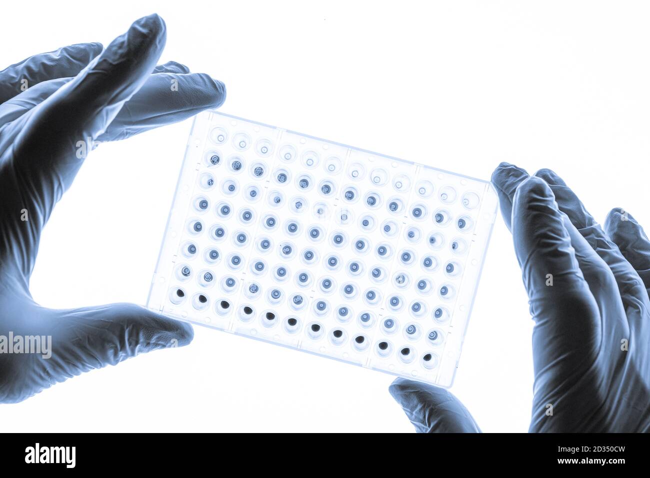 96 well cell culture plates hi-res stock photography and images - Alamy