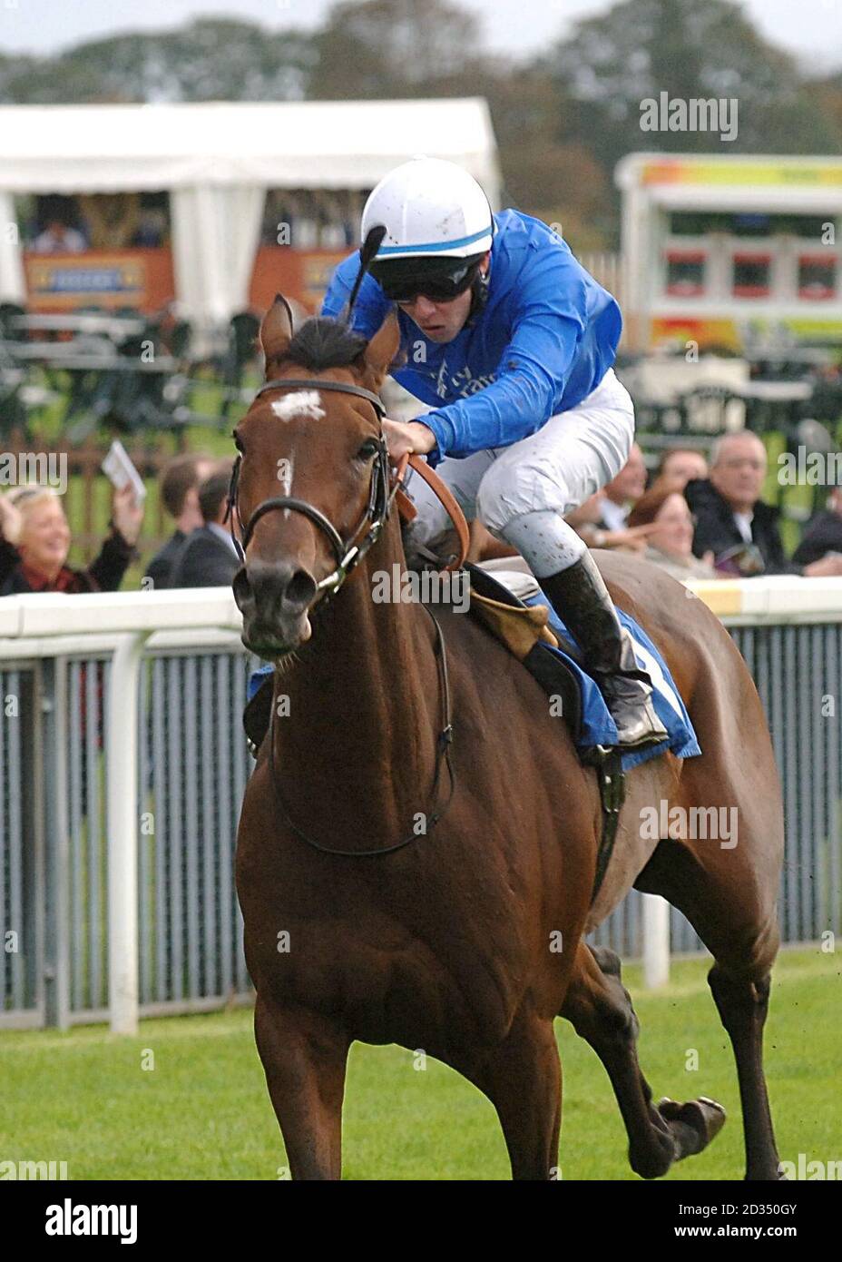 Scriptwriter (horse) hi-res stock photography and images - Alamy