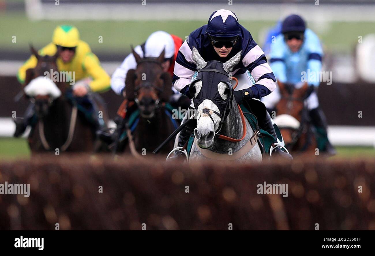 Mares chase cheltenham hi-res stock photography and images - Alamy