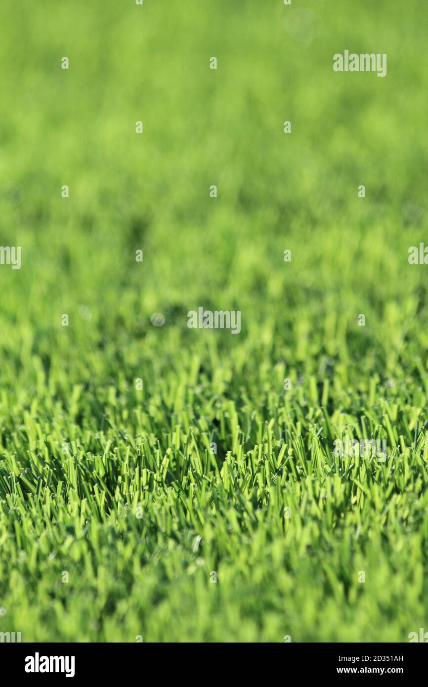 plastic green grass texture as nice background Stock Photo - Alamy