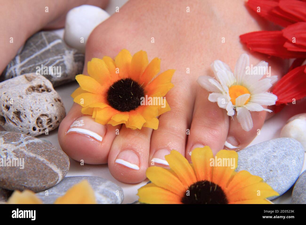 woman legs (pedicure) detail of nails and feets Stock Photo - Alamy