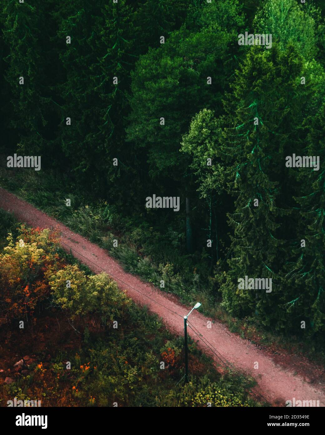 Vertical shot beautiful pathway hi-res stock photography and images - Alamy