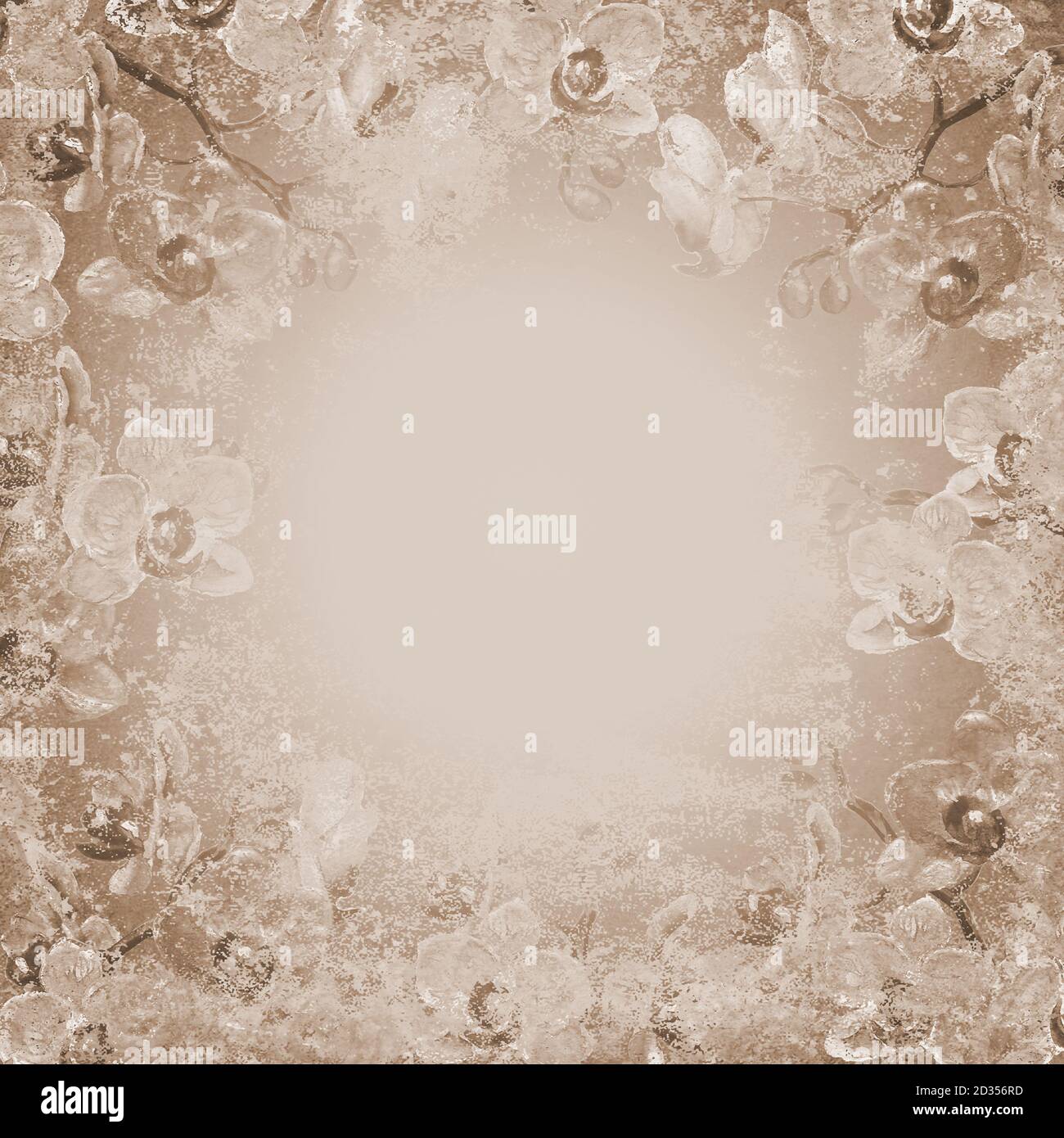 Grunge gray beige background with orchid flowers. Space for text Stock ...