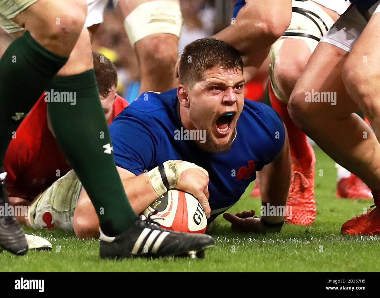 Paul willemse hi-res stock photography and images - Alamy