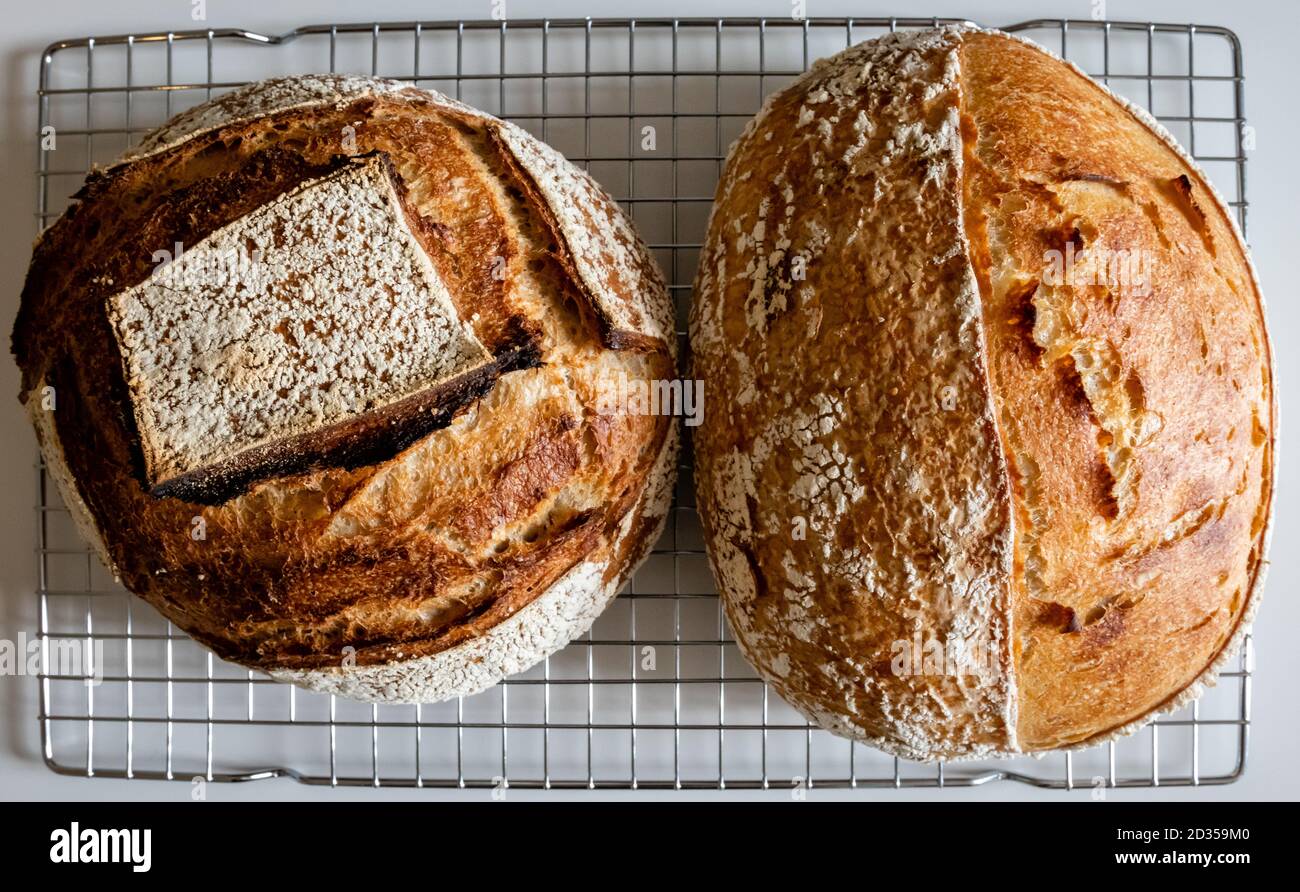 Fresh homemade baked bread, natural and healthy Stock Photo - Alamy