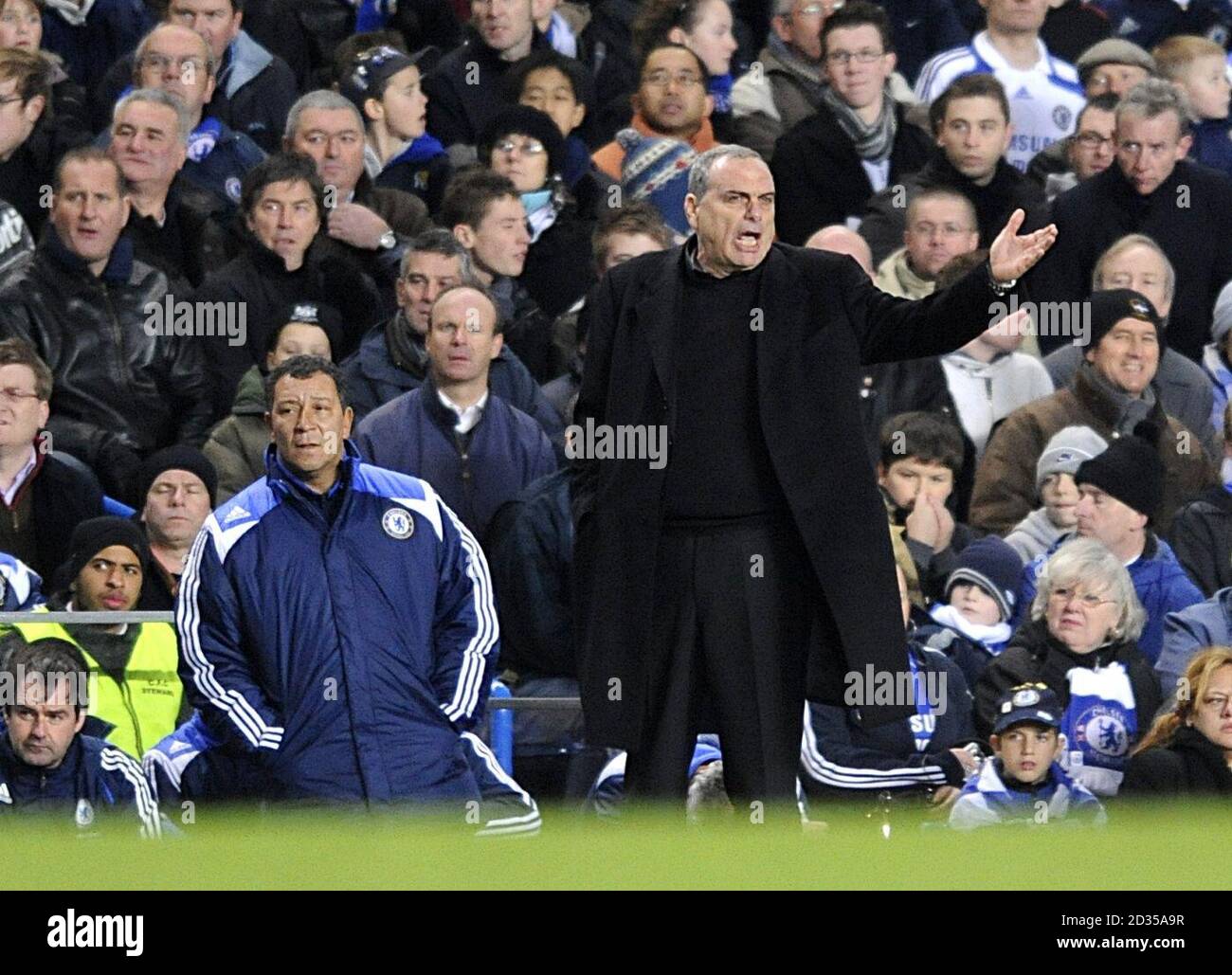 Chelsea manager Avram Grant on the touchline Stock Photo - Alamy