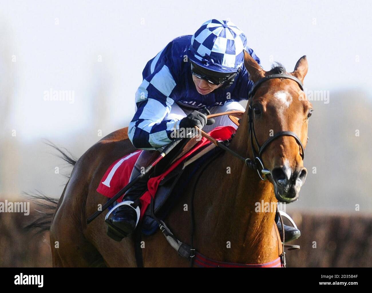 Cryptic richard johnson ease victory in connaught plc hi-res stock ...