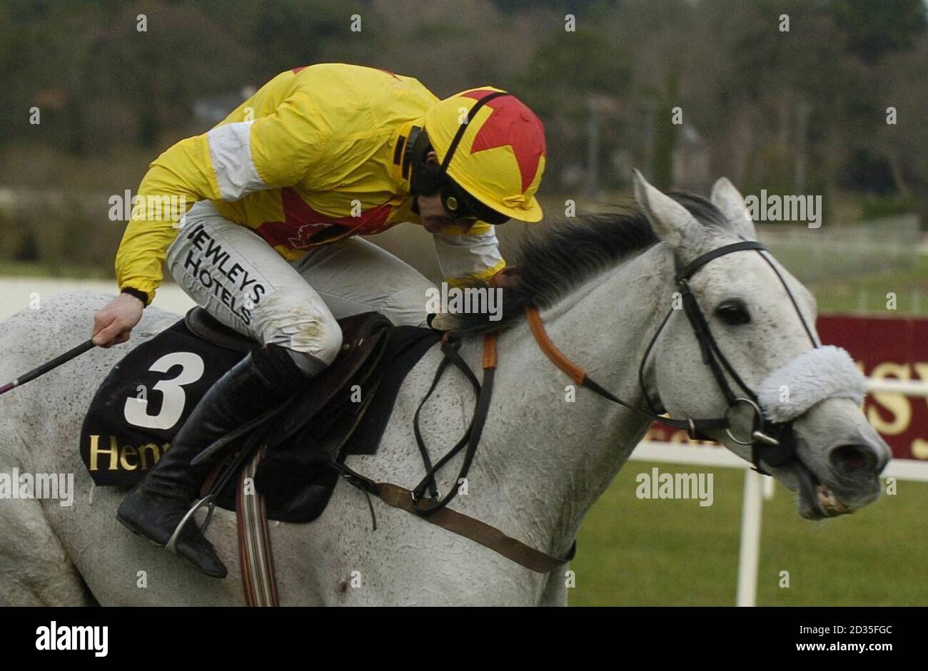 Hennessy cognac horse hi-res stock photography and images - Alamy